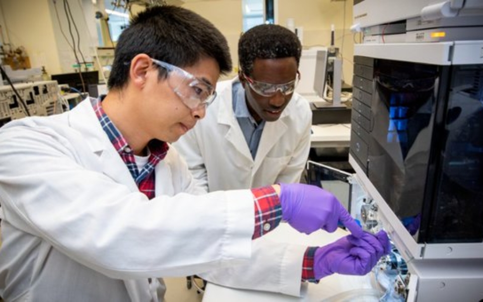 Biological Systems and Engineering - Biosciences Area