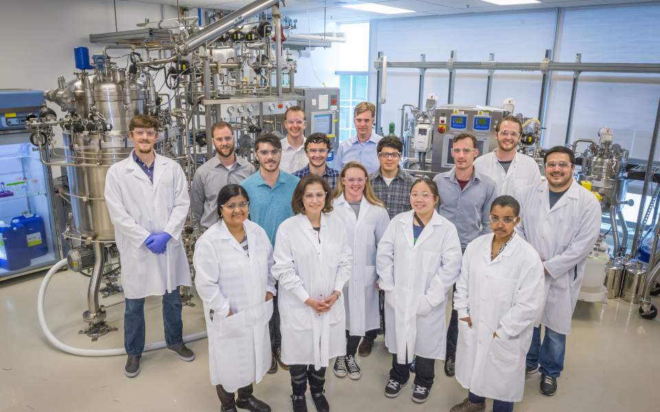 Biological Systems and Engineering - Biosciences Area