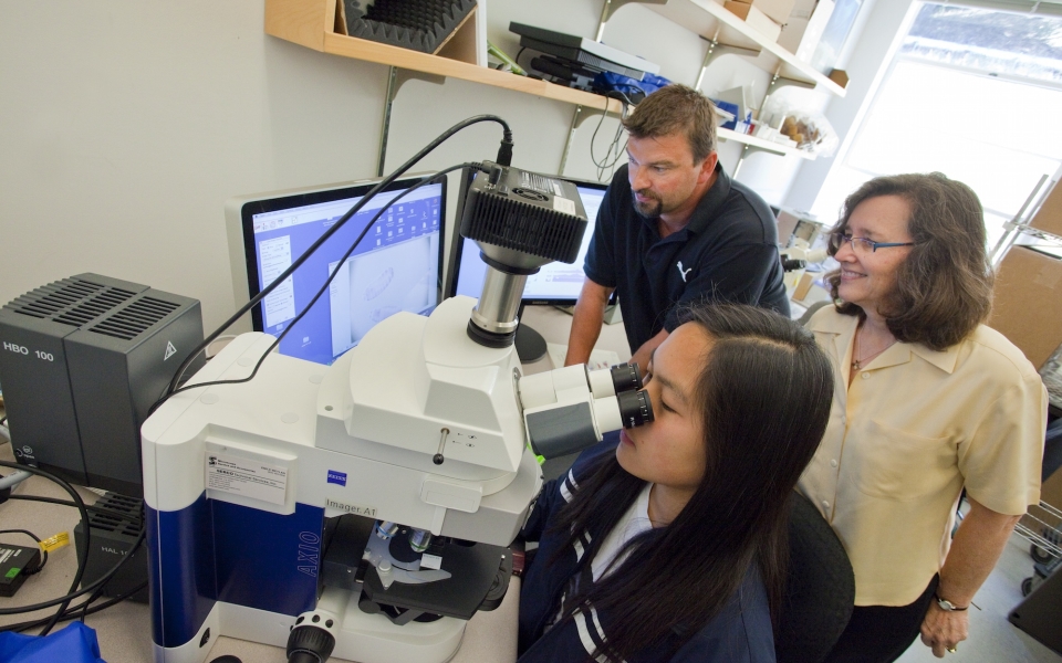 Environmental Genomics and Systems Biology - Biosciences Area