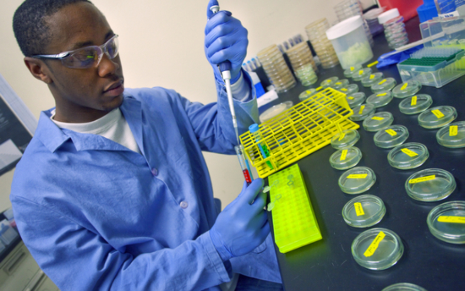 Environmental Genomics and Systems Biology - Biosciences Area