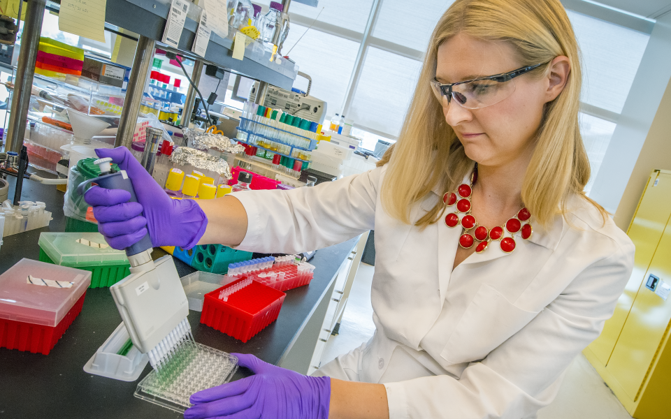 Biological Systems and Engineering - Biosciences Area