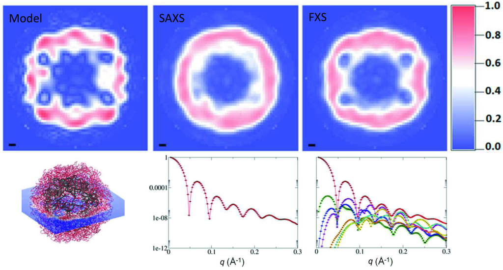 Extending the Reach of X-ray Scattering - Biosciences Area