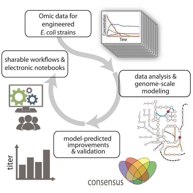 Taek Soon Lee | Biosciences | Berkeley Lab