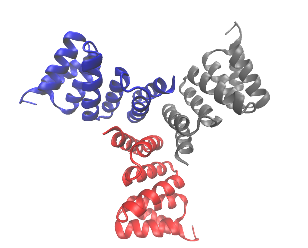 Designing Cyclic Oligomers: Greater than the Sum of Their Parts ...