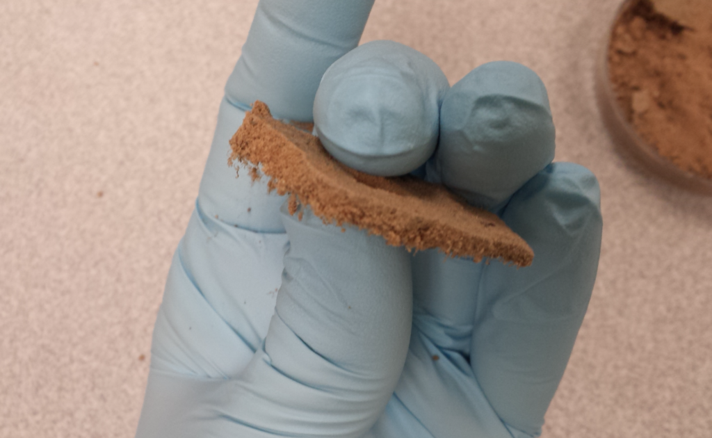 Microbial Metabolism in Real World Native Biocrusts - Biosciences Area ...