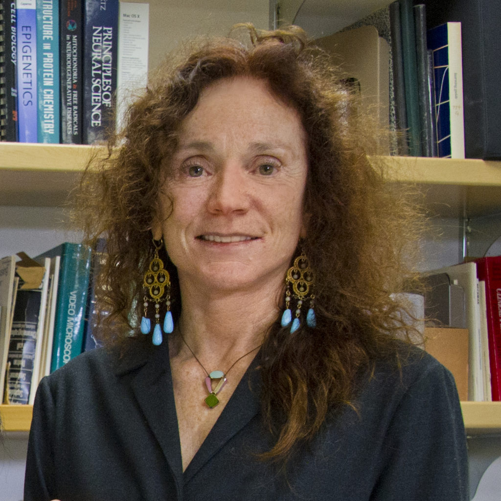 Cynthia McMurray Quoted in Nature Outlook on Huntington's Disease ...
