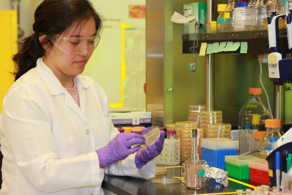 Brenda Wang lab - Biosciences Area – Biosciences Area