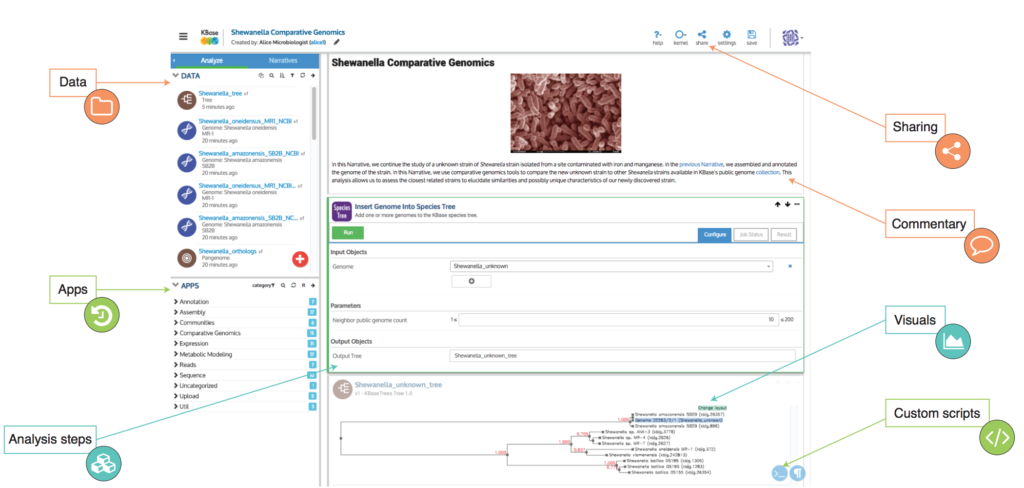 KBase Flagship Paper Published in Nature Biotechnology - Biosciences ...