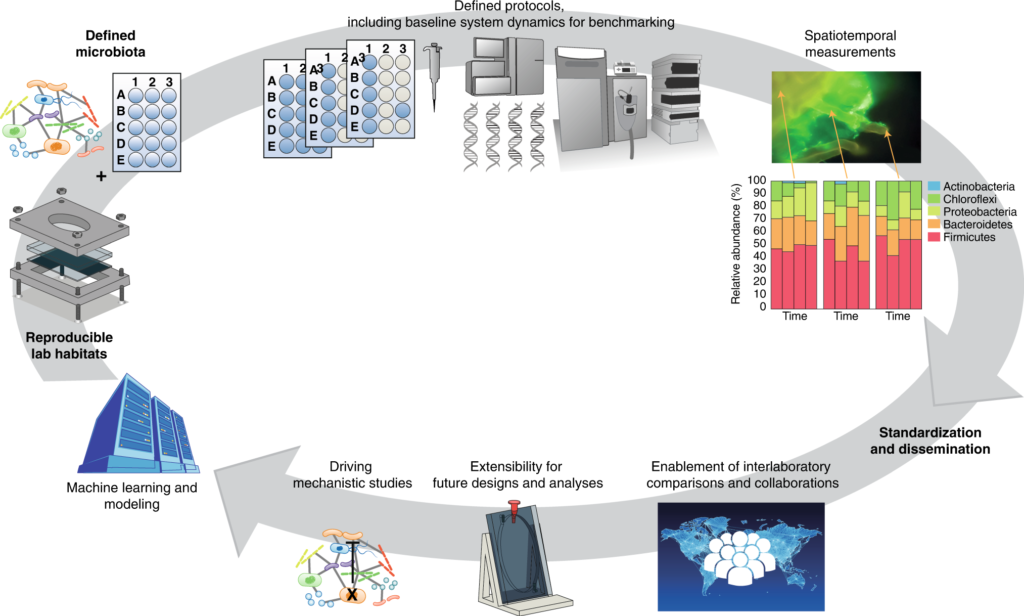 EcoFABs: Fabricated Microbial Ecosystem Models to Advance Microbiome ...