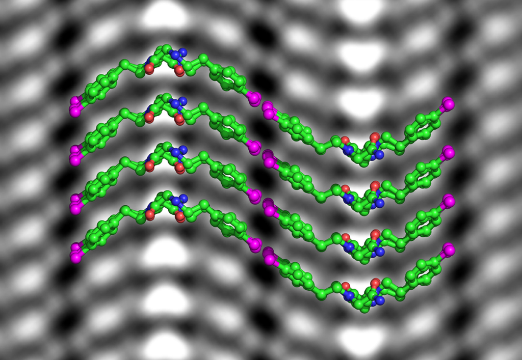 Cryo-EM Adapted to Visualize Atomic Structure of Synthetic Soft ...