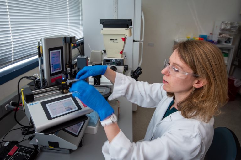 Comparative And Functional Genomics Biosciences Area