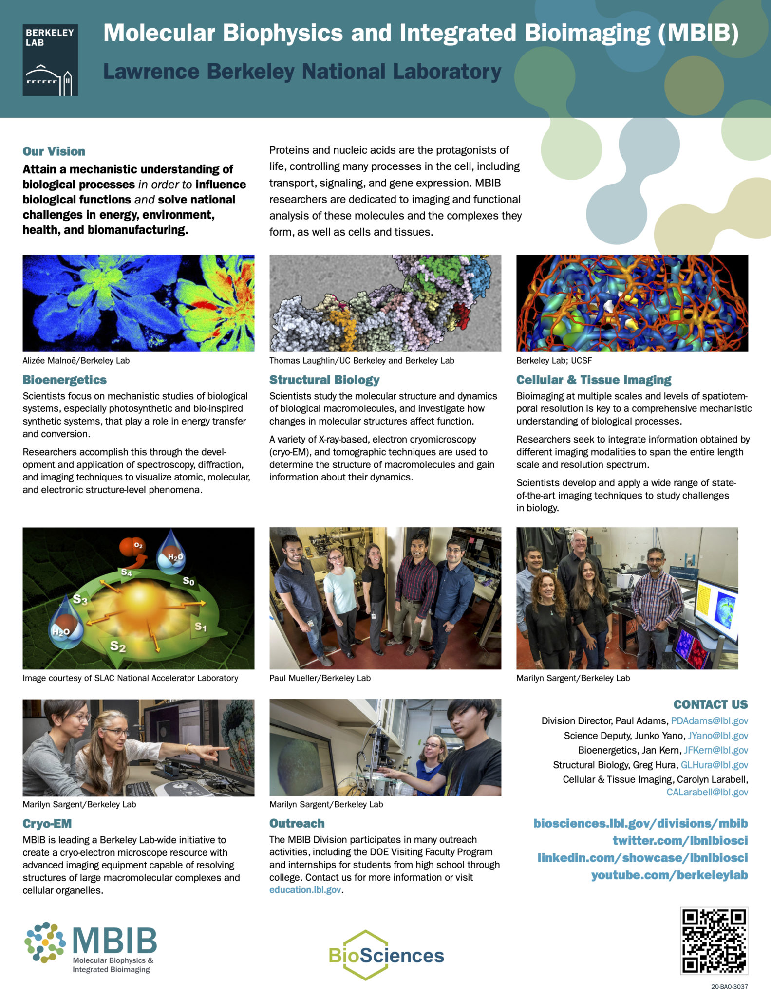 Molecular Biophysics and Integrated Bioimaging – Biosciences Area