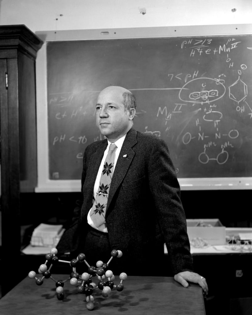 The Calvin Cycle, Continued – Biosciences Area